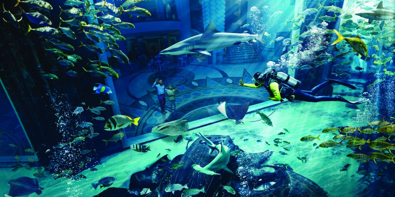 Amazing Things to see & do at Atlantis, The Palm - Tropical Warehouse