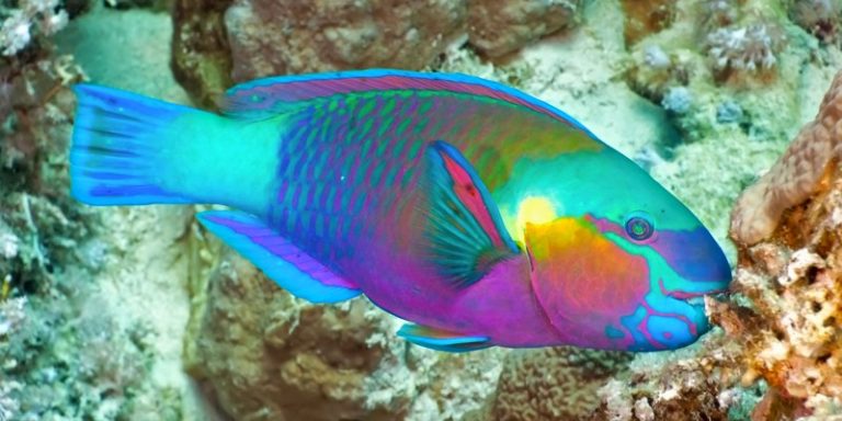 12 Stunning Pictures Of The Seychelles We Can't Stop Staring At ...