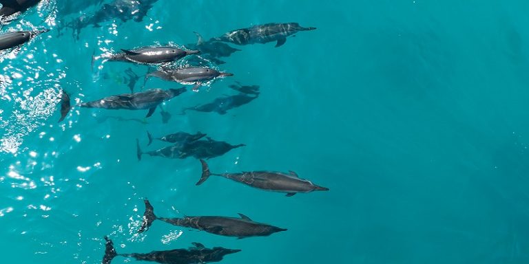 How To Get A Private Island Experience In The Maldives For Under £2K - Tropical Warehouse